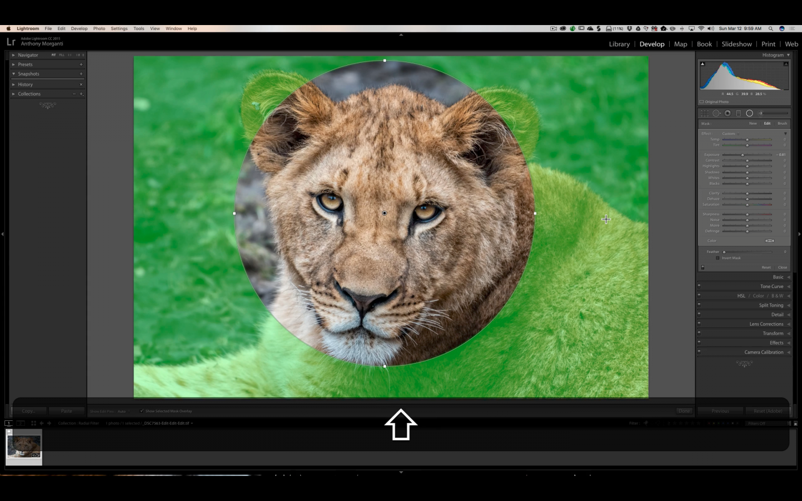 Lightroom Tips | The Various Ways To Use The Radial Filter