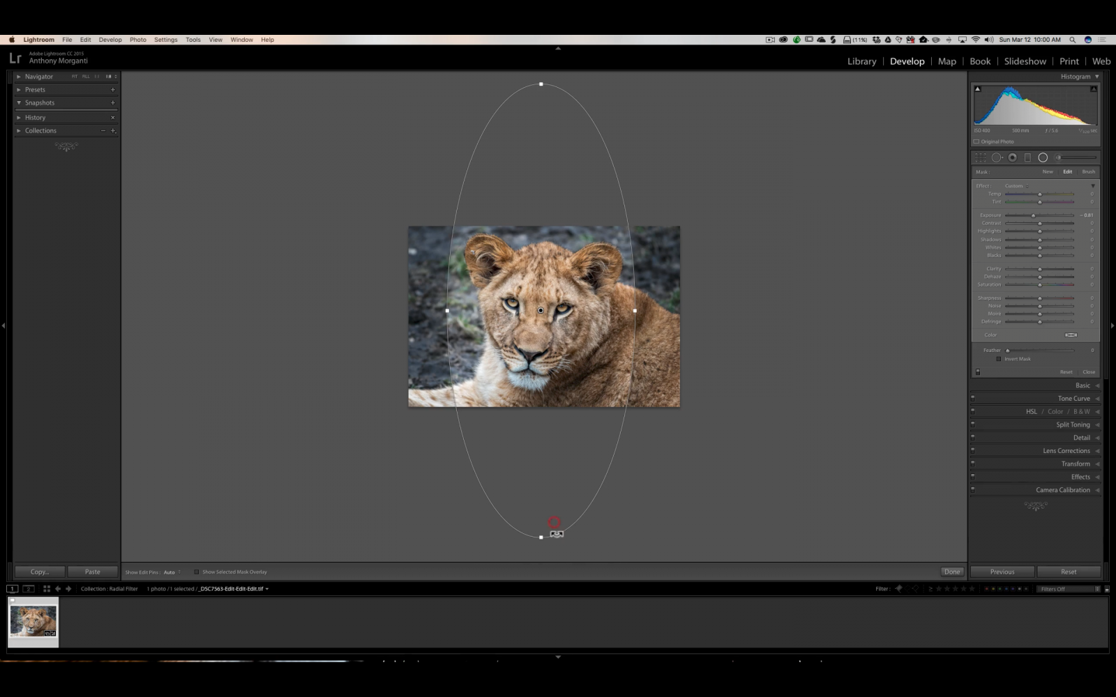 Lightroom Tips | The Various Ways To Use The Radial Filter