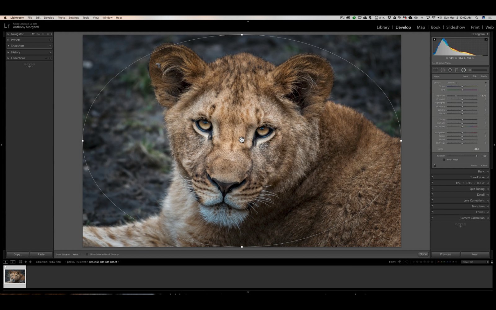 Lightroom Tips | The Various Ways To Use The Radial Filter