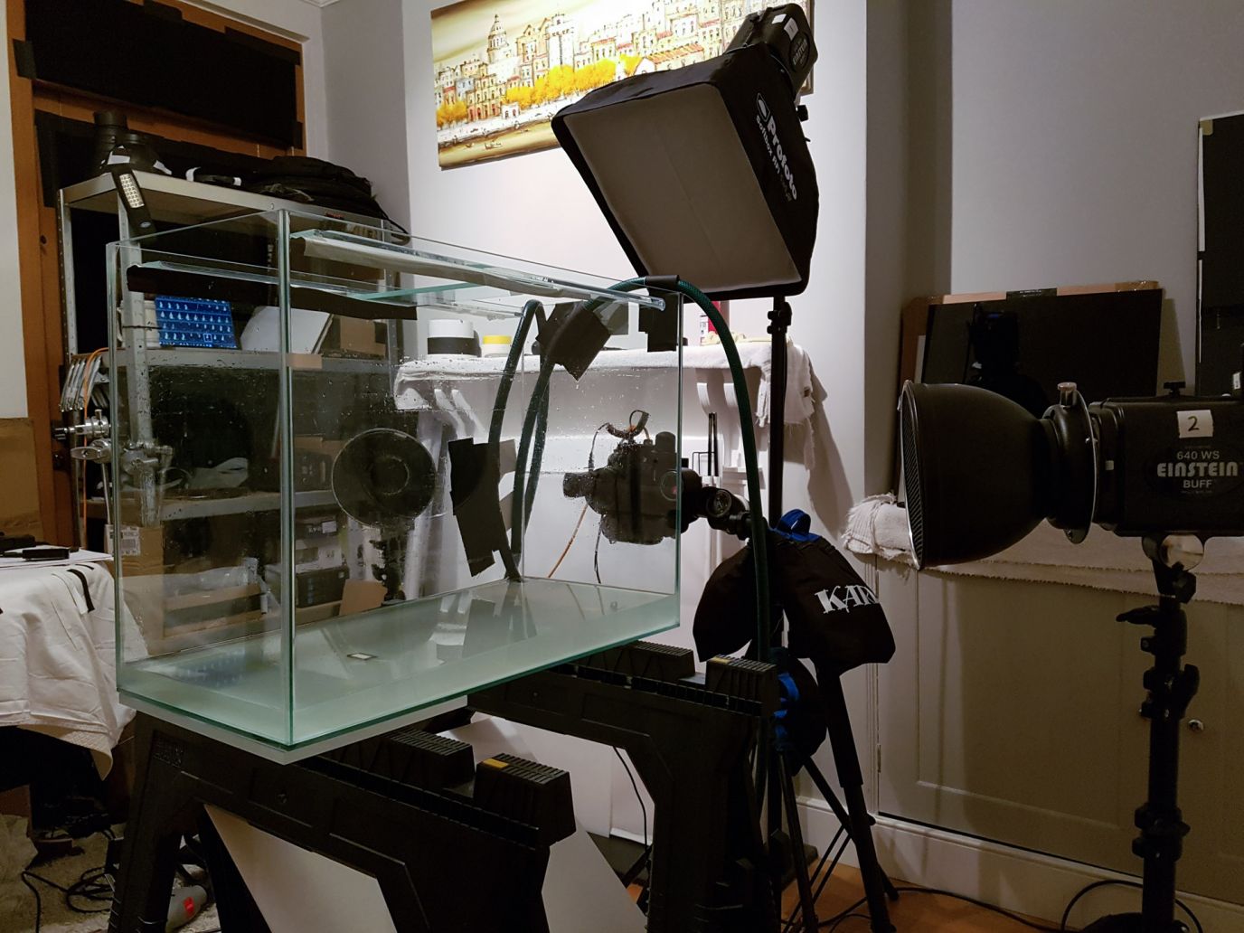 Using A Fish Tank To Create Unique Still Life Photography | How I Shot It