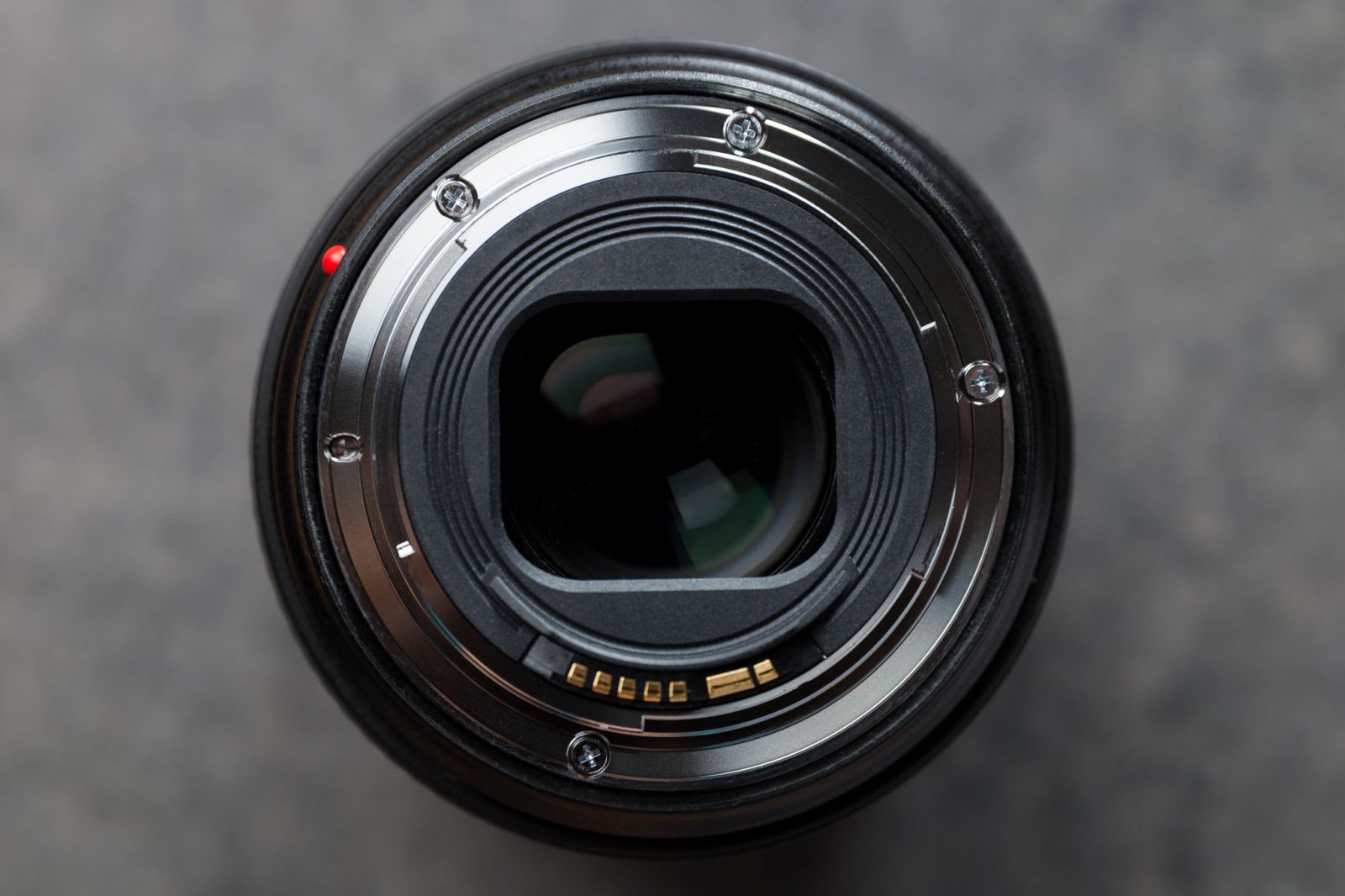 Canon 24-105mm f/4L IS USM II Review | Canon's New Versatility King?
