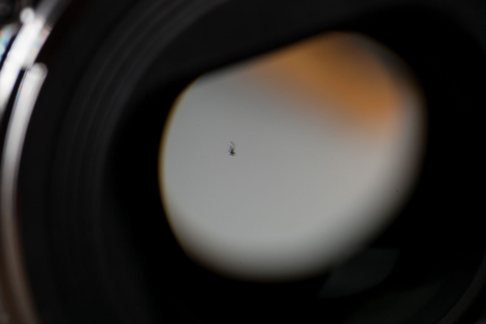 Canon 24-105mm f/4L IS USM II Review | Canon's New Versatility King?