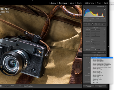 Camera Calibration Lightroom Panel | Tips For Perfecting Skin Tones ...