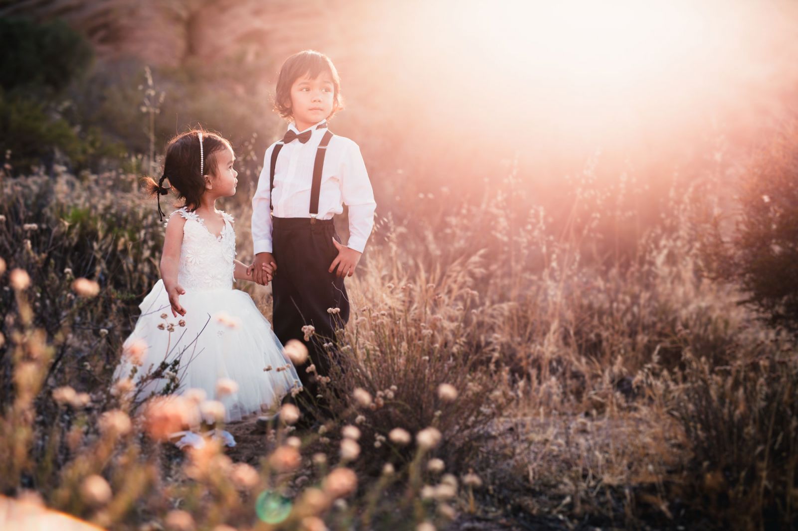 What Are Megapixels and Do They Matter? | Minute Photography