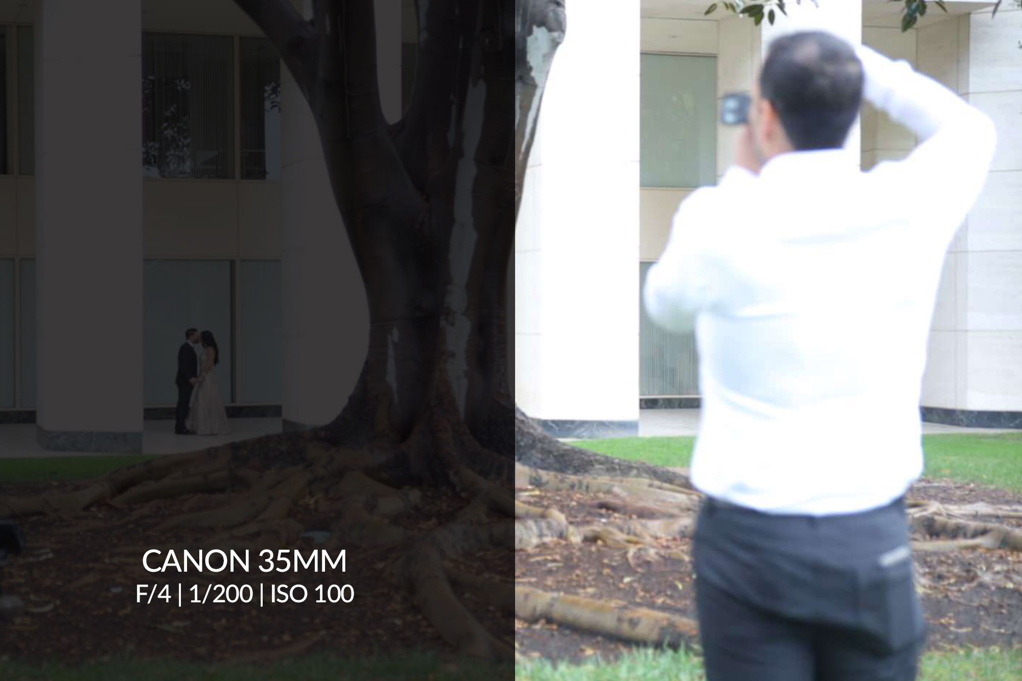 How to Transform a Boring Office Park into a Piece of Art