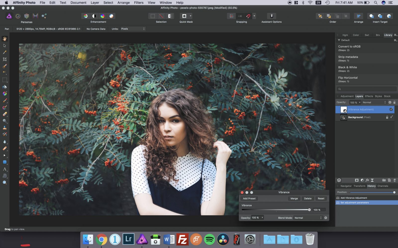Vibrance vs Saturation | What is the Difference?