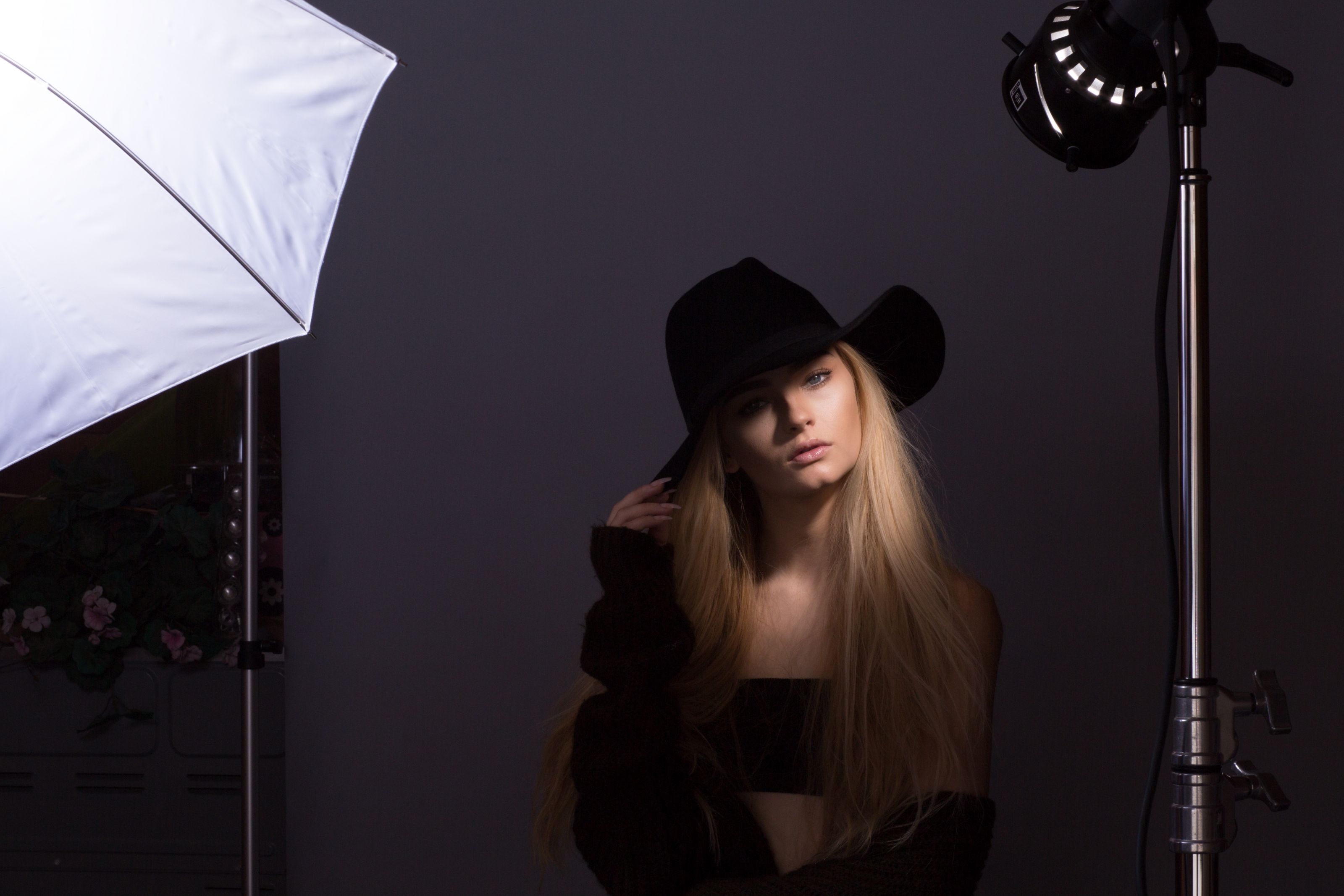 How to Use Fresnel Lenses in Photography