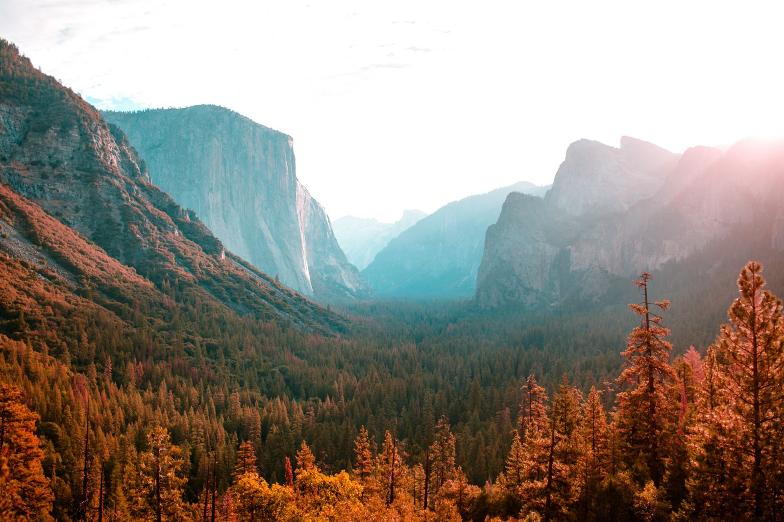 A Guide To Color Processing In Lightroom Or Photoshop | Step Up Your ...