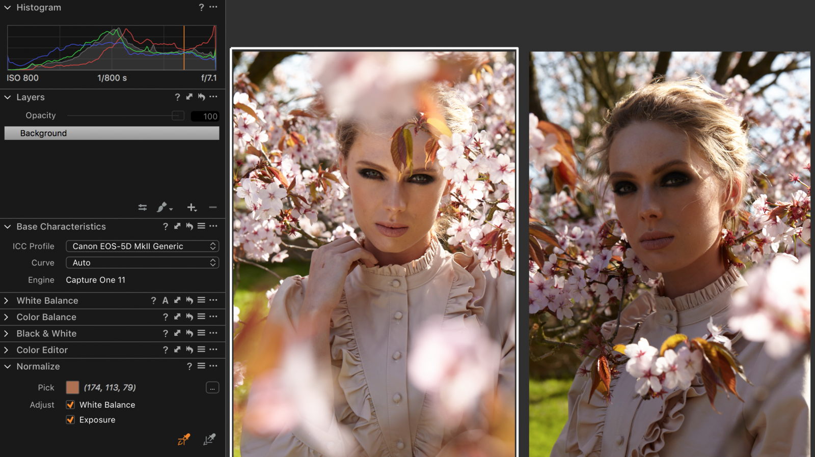 Capture One 11.1 Review | Putting The New Features To Use