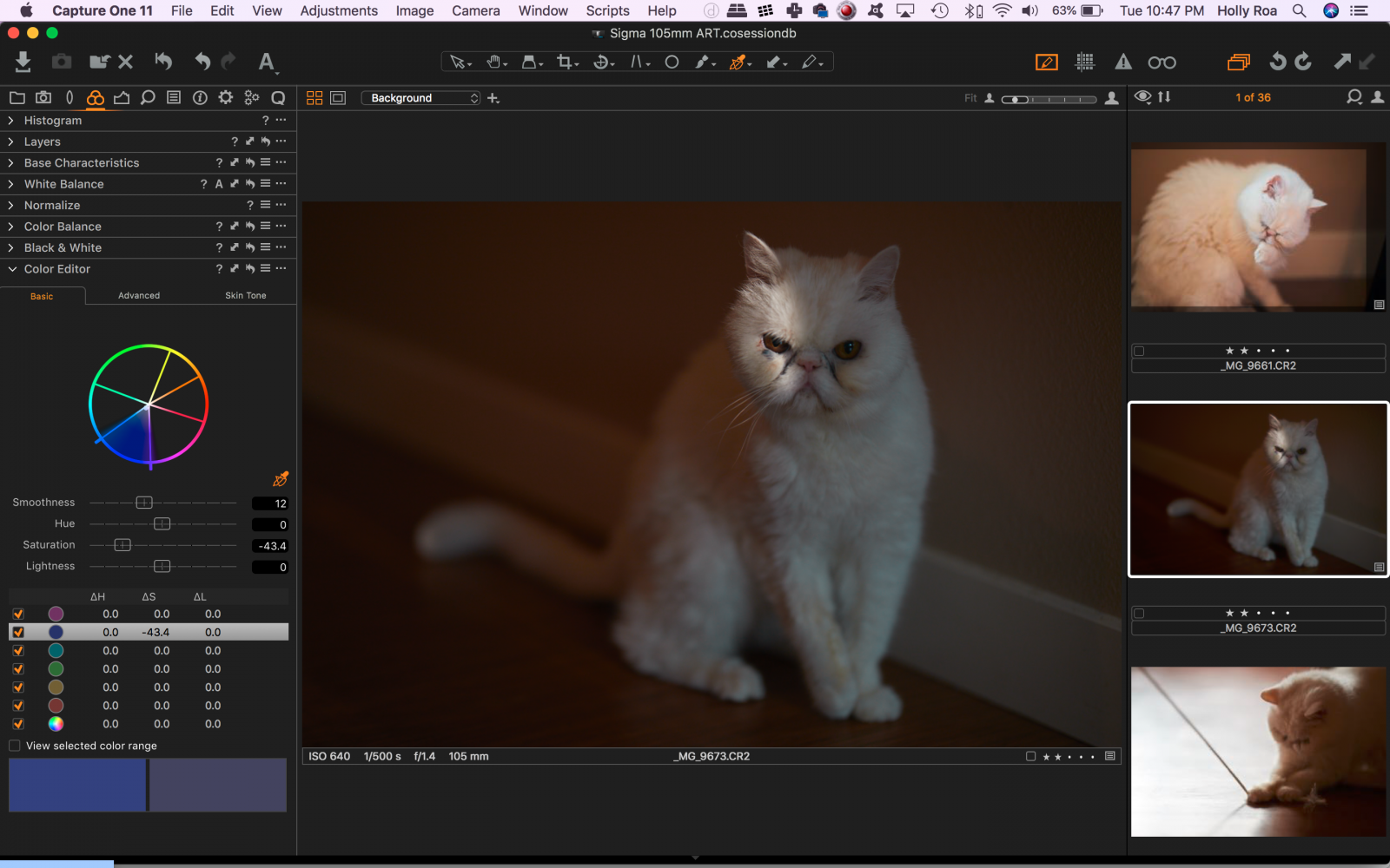 Pet Photography Guide | Gear, Tips, and Common Mistakes to Avoid