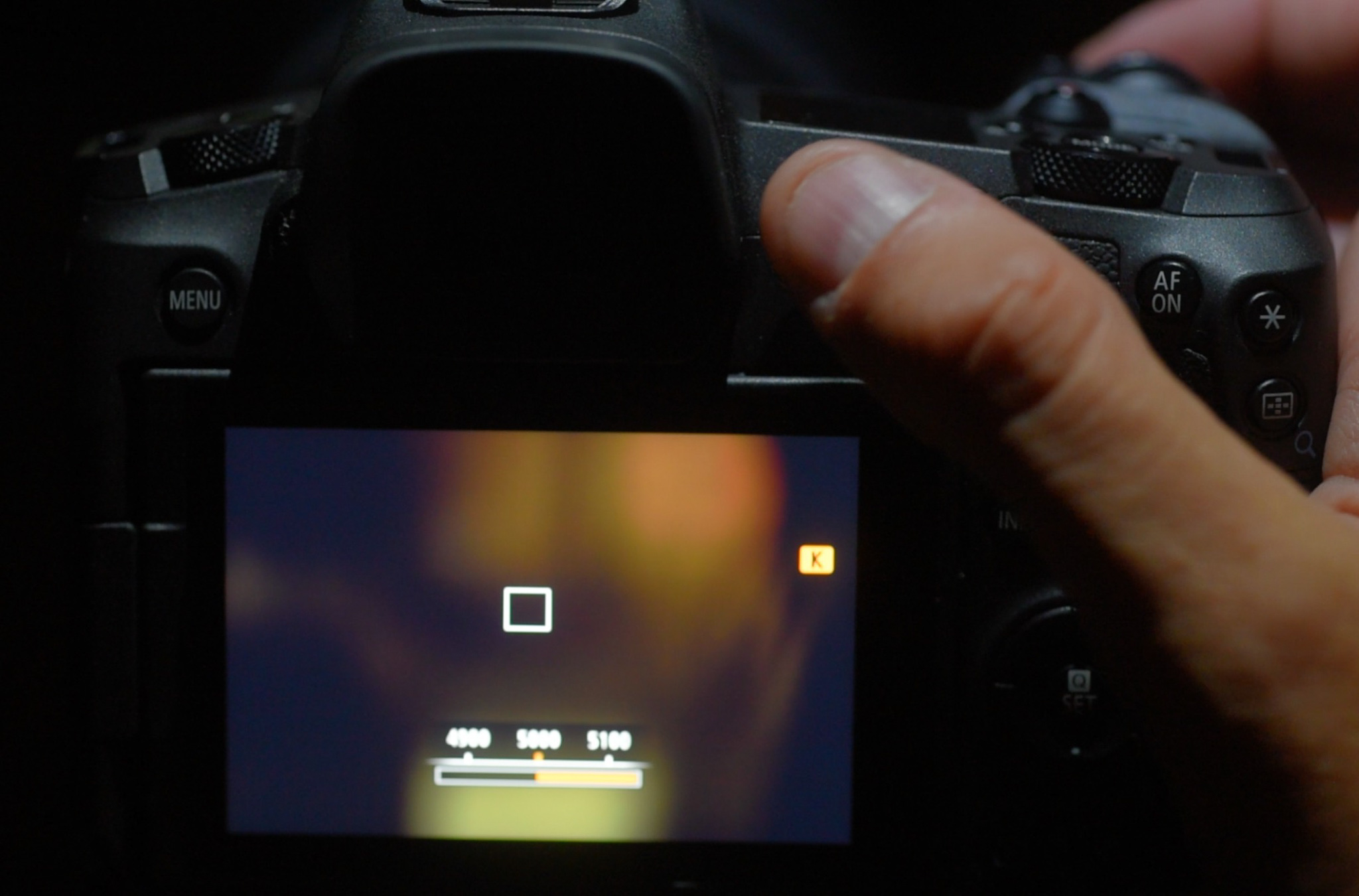 Canon EOS R Official Review | More Than Just A Spec Sheet