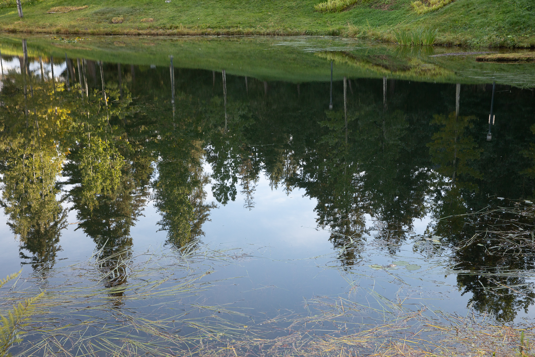 Outdoor Flash Photography Tips for Natural or Dramatic Portraits