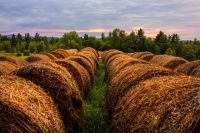 33 Unbelievable Award-Winning Landscapes & Cityscapes