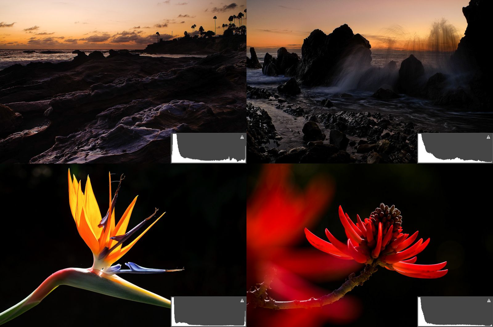 Histogram Definition - What is Histogram by SLR Lounge