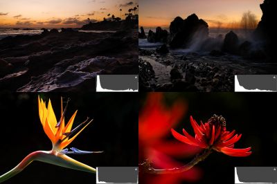 Histogram Definition - What is Histogram by SLR Lounge