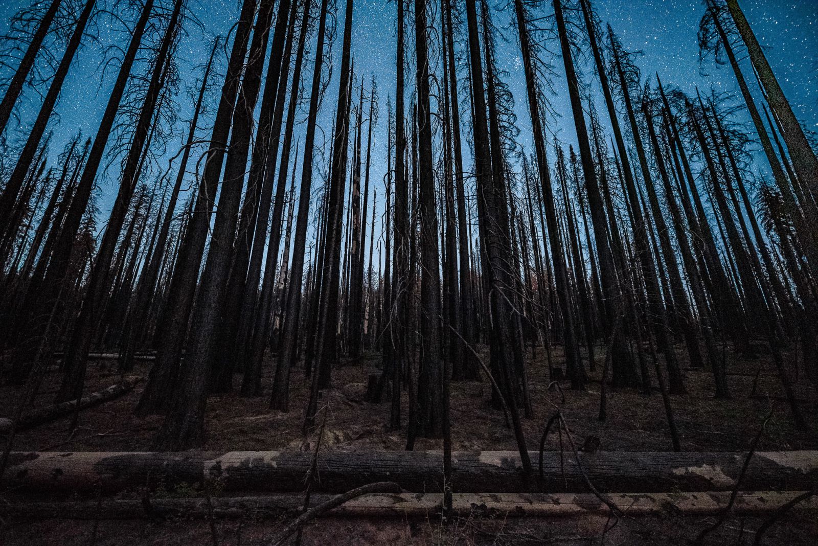 Sigma 14mm f/1.8 Art Lens Review | The New Champion Of 14mm Ultra-wides?