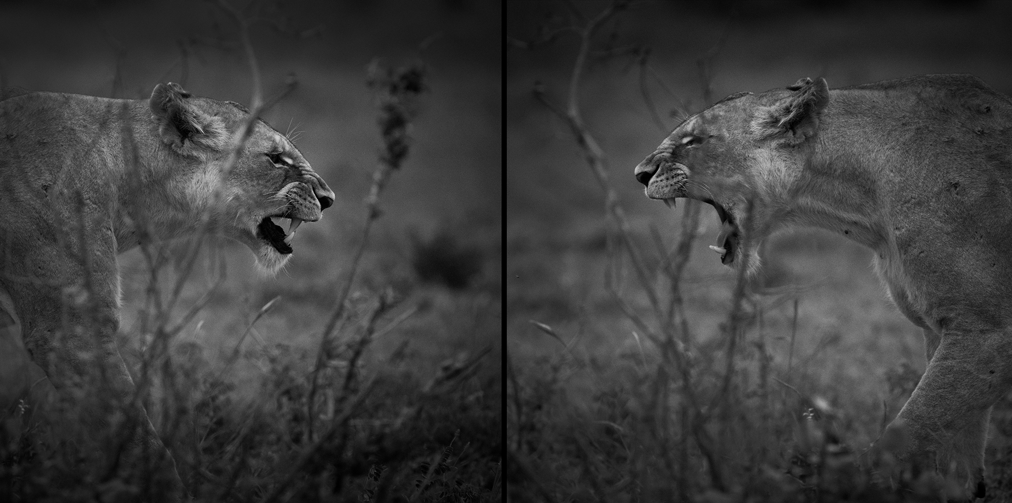 Photography Travel Tips, with Nikon Ambassador Kristi Odom | Fundy ...