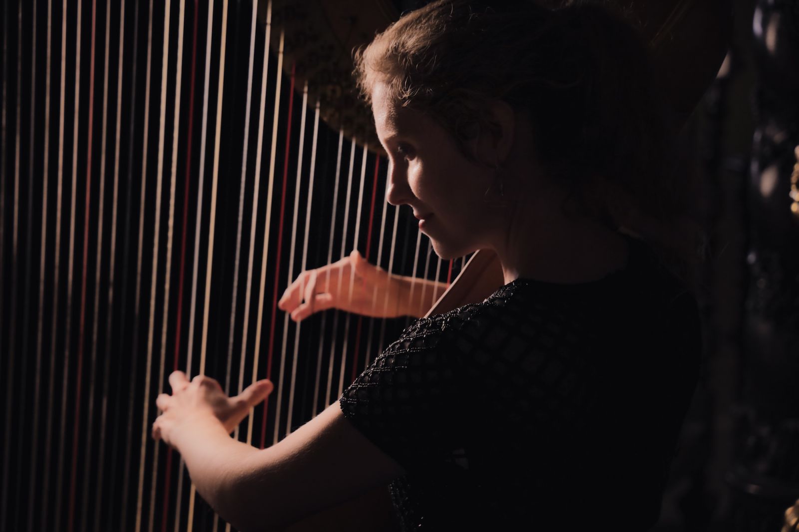 Canon EOS-RP Review | Hands-On Experience, Sample Images and More