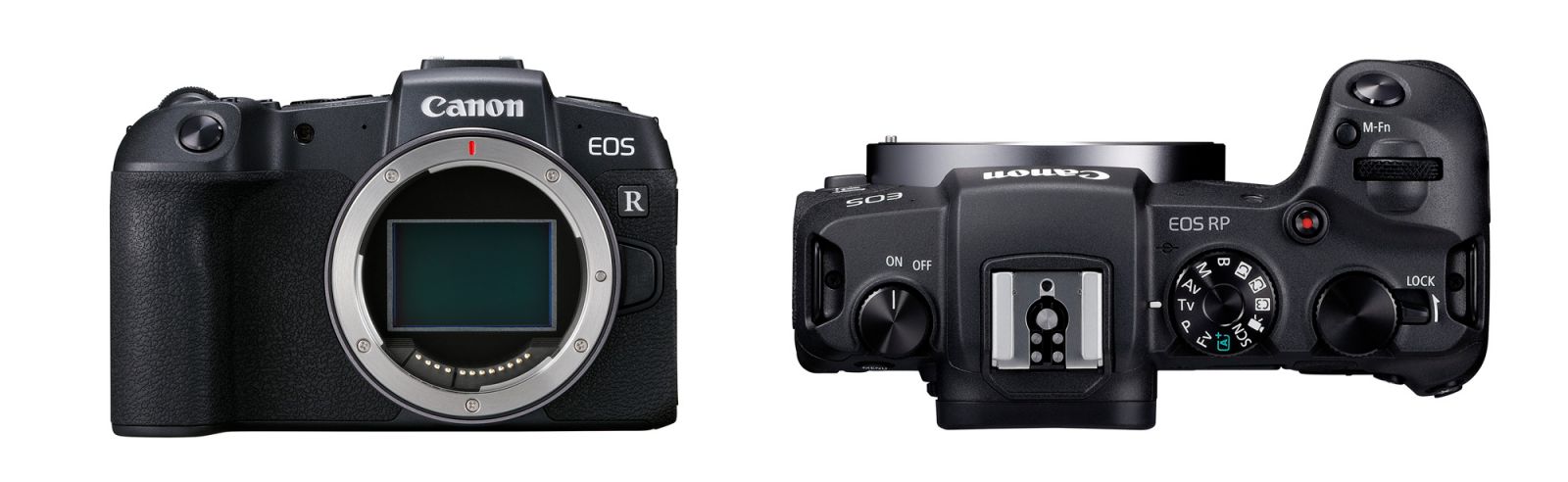 Canon Announces NEW EOS-RP Full-Frame Mirrorless Camera & 6 RF Lenses