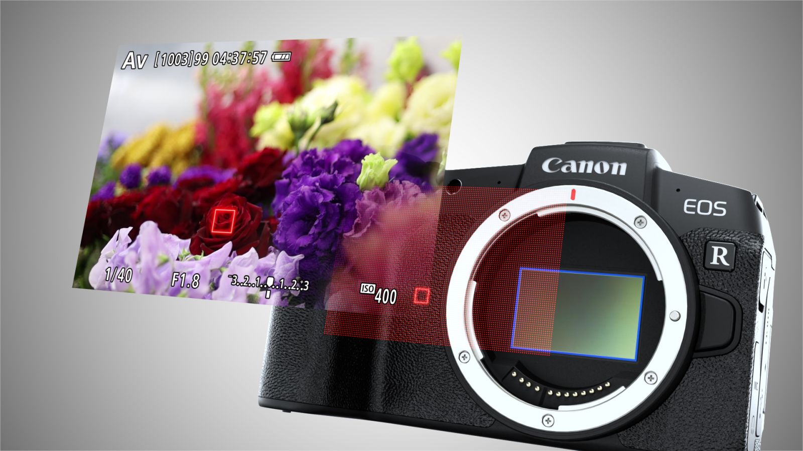 Canon Announces NEW EOS-RP Full-Frame Mirrorless Camera & 6 RF Lenses