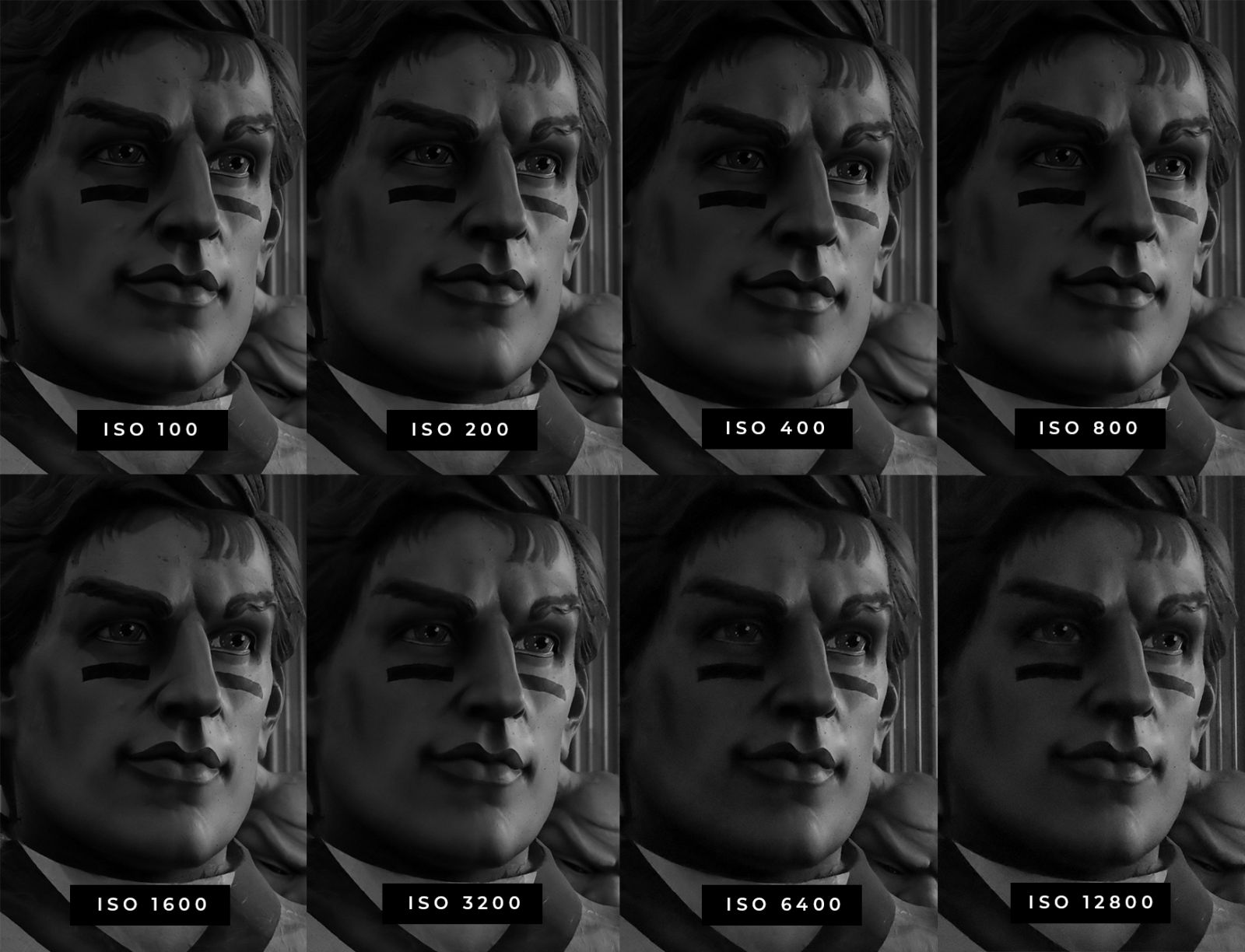 Canon EOS-RP Review | Hands-On Experience, Sample Images and More