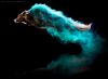 Photographer Adds Colorful Powder To Jumping Dogs To Create One-Of-A ...