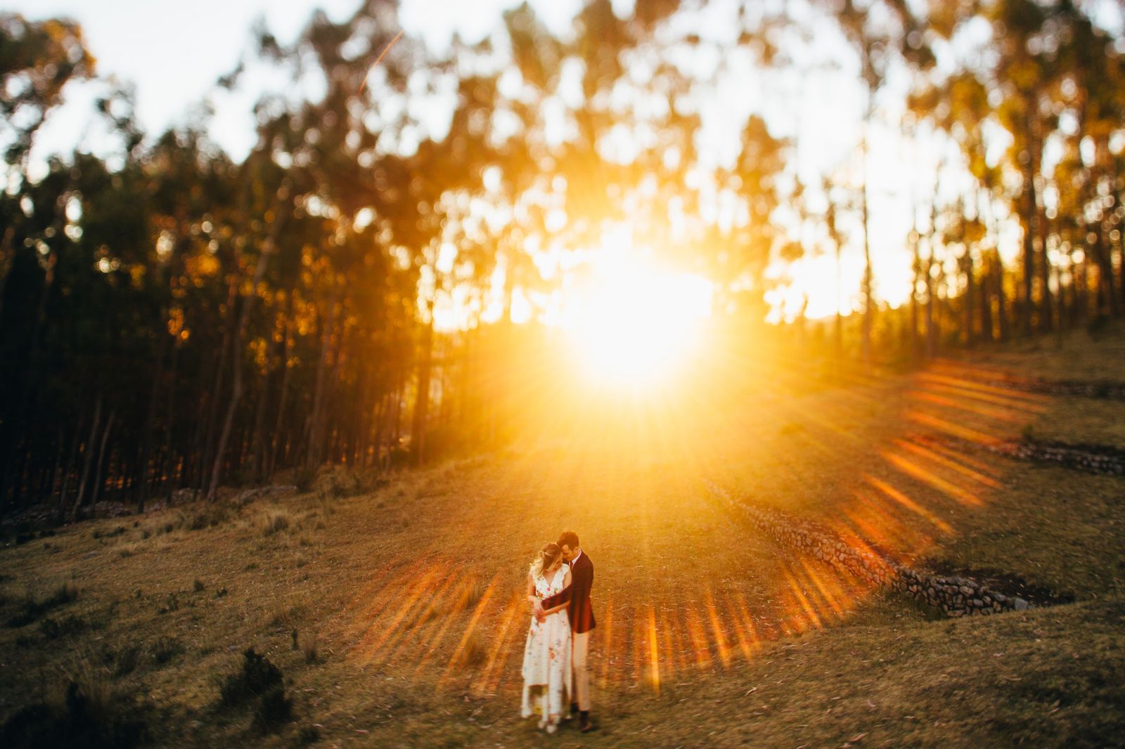 30 Tilt-Shift Lens Photos That Will Make You Need One