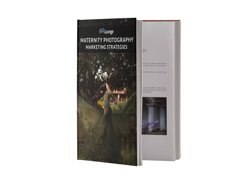 Maternity Photography Workshop Now Available!