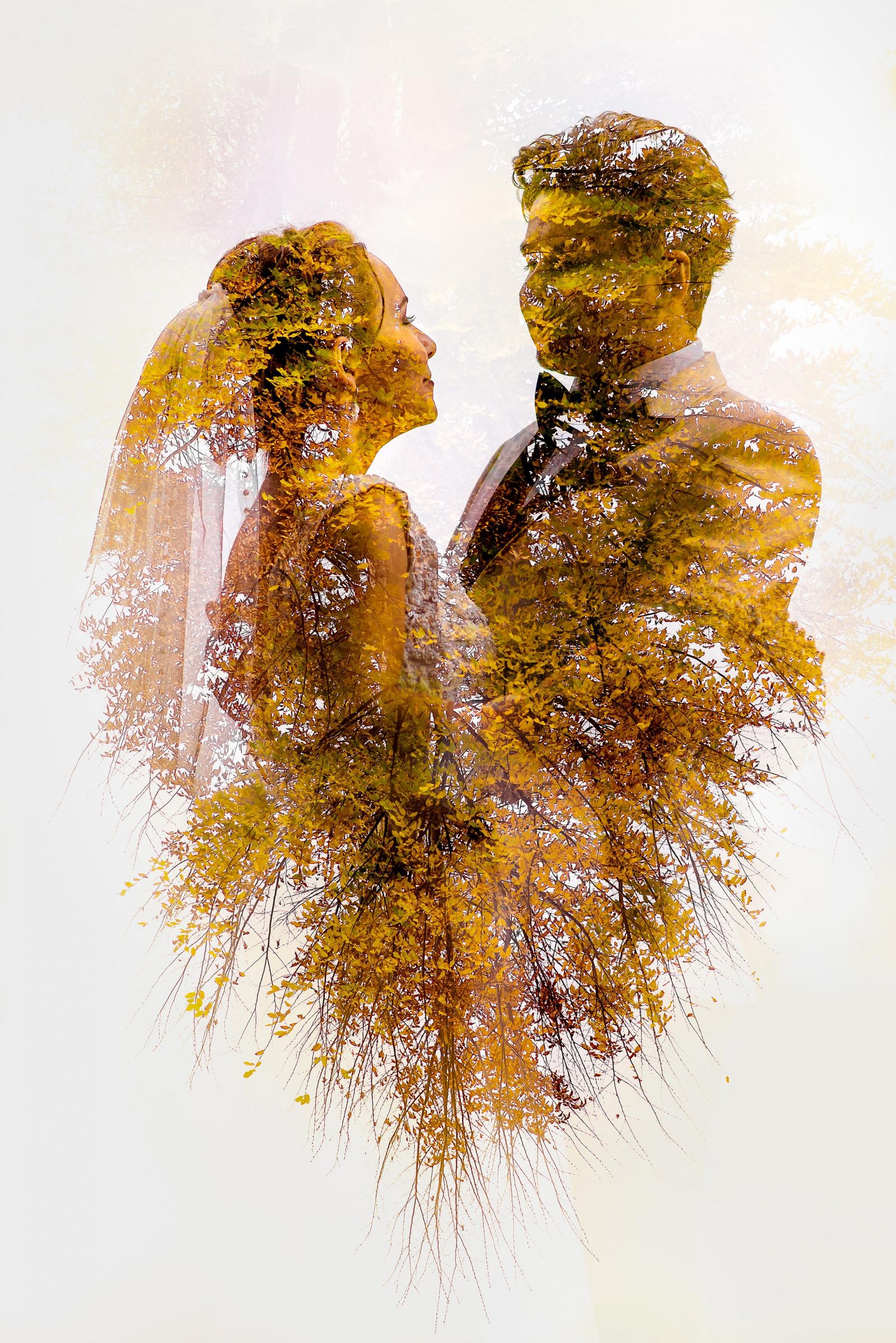 29 Sensational Award-Winning Wedding Images