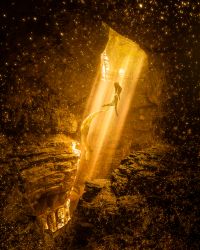 Adobe Celebrates International Women’s Day with These 16 Artists