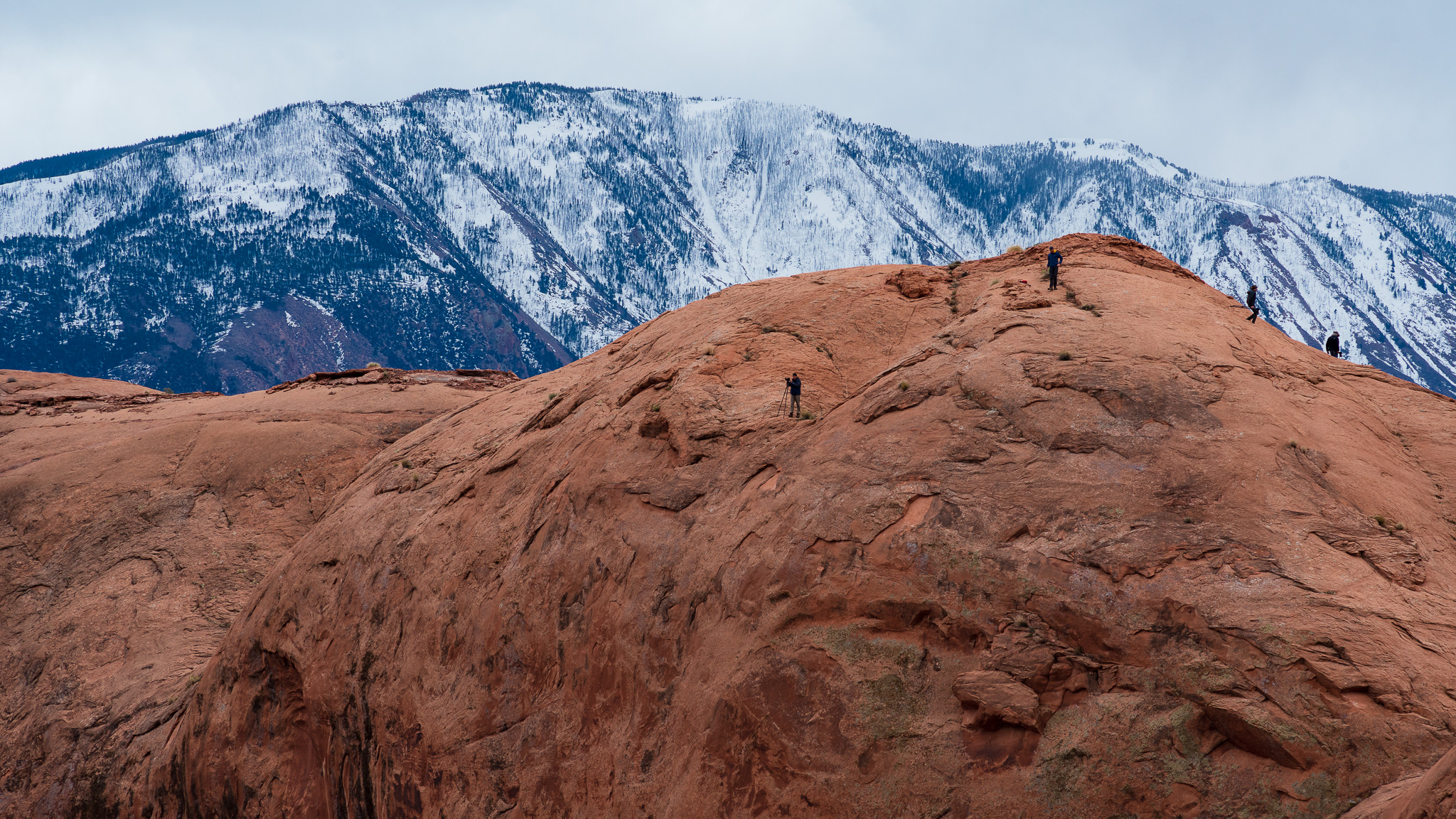 Mindshift Backpack Review | Firstlight VS Backlight Camera Bags
