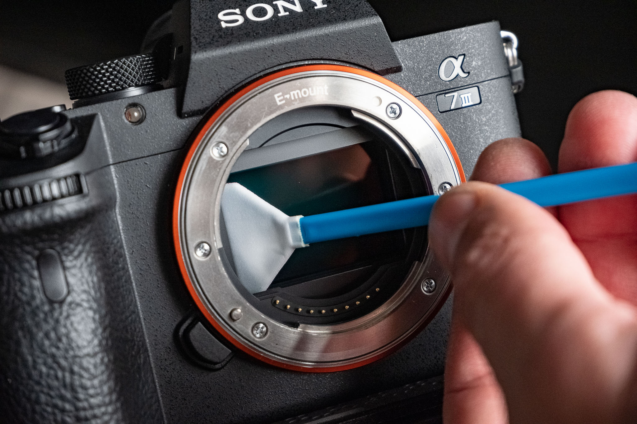 Aurora Camera Sensor Cleaning Kit Review | How To Wet Clean Your Sensor!