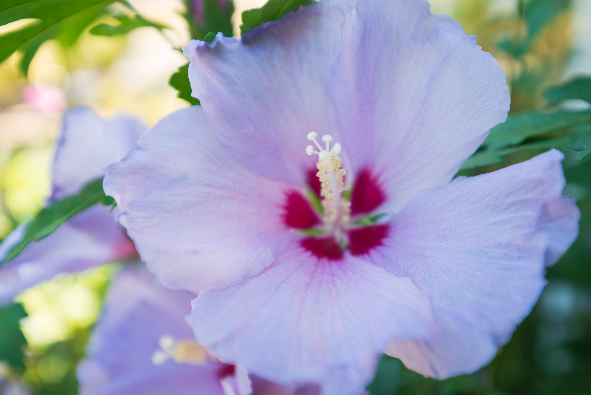 Photography Basics | Beginner's Complete Guide To Photography