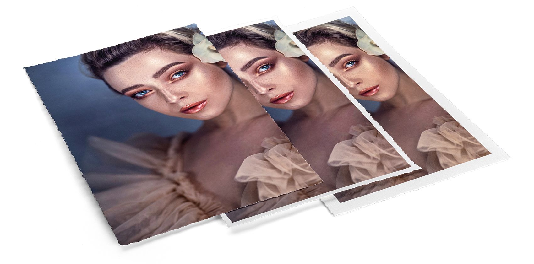 Bay Photo Lab Company Feature | Professional Photo Printers With A ...