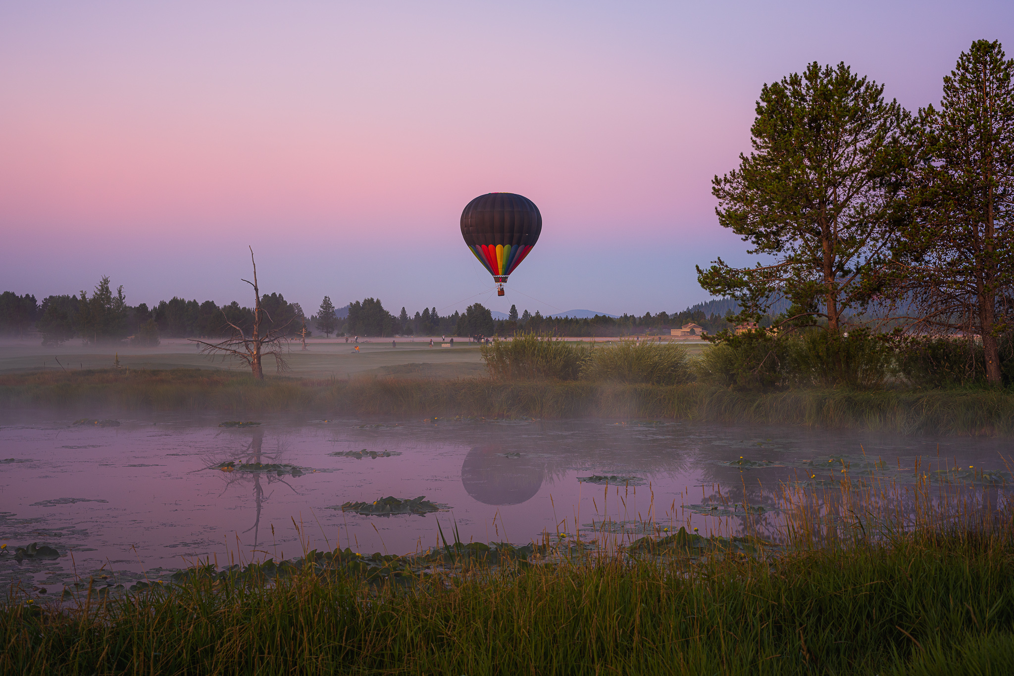 The Best Cameras For Nature Photography | A Complete Guide