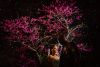 Backlight Photography with Flash: From Basics to Brilliance