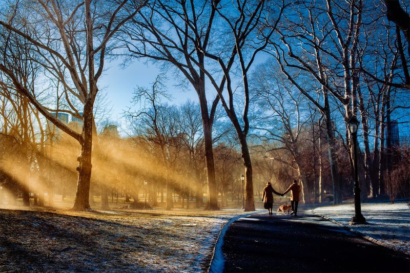 18 Romantic Portraits of Love