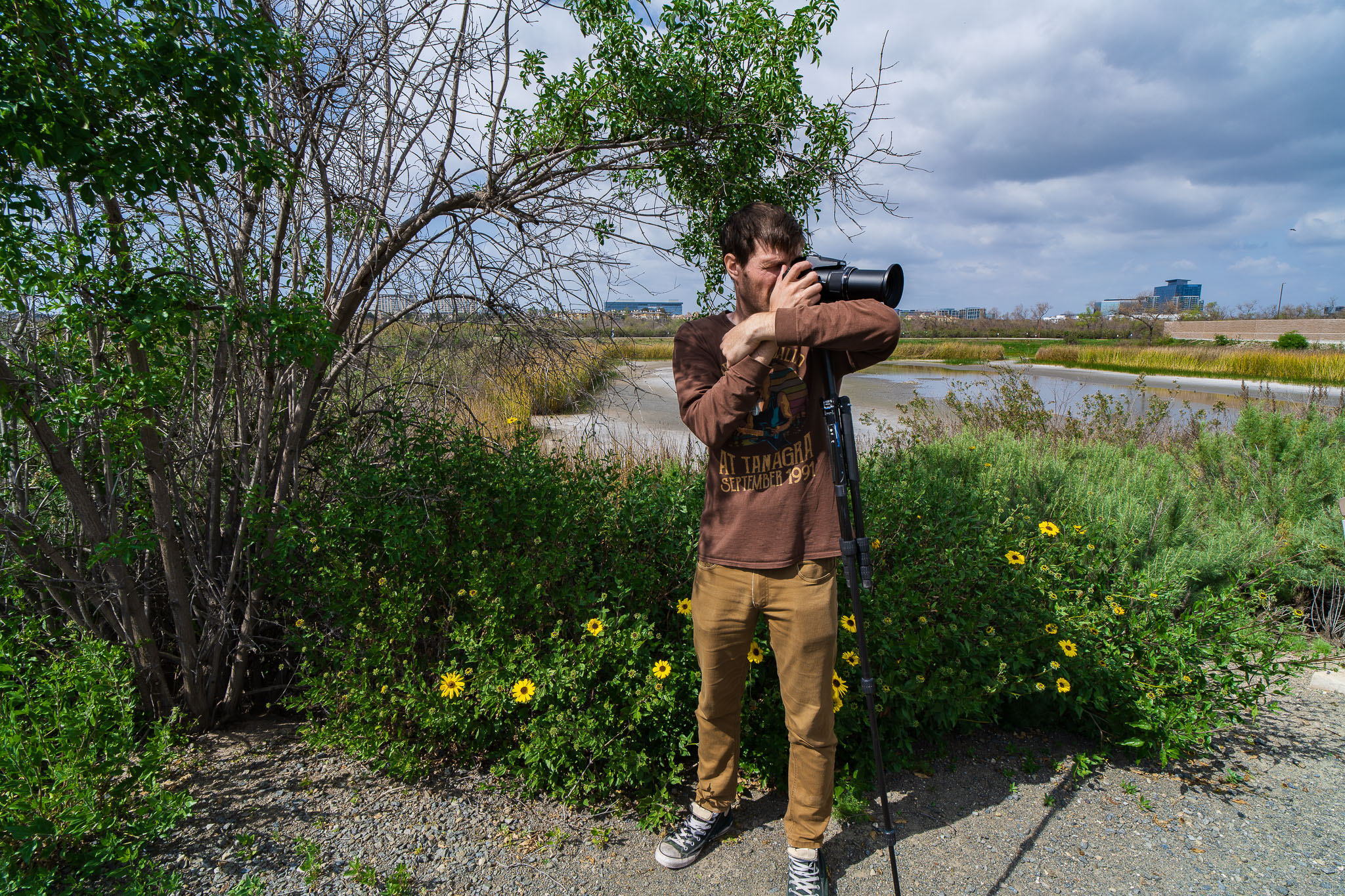 Nikon P950 Review | This Compact Camera Zooms to 2000mm!