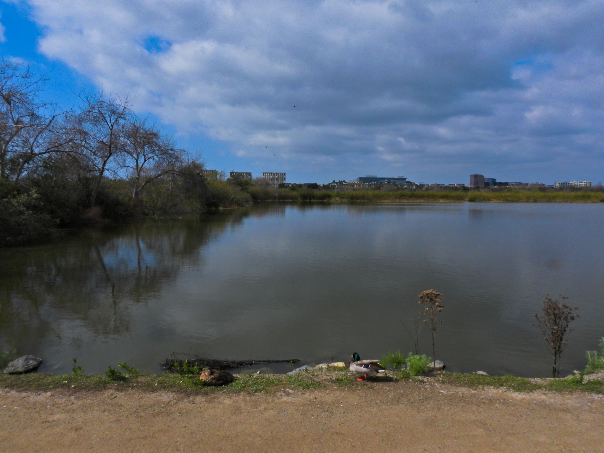 Nikon P950 Review | This Compact Camera Zooms to 2000mm!