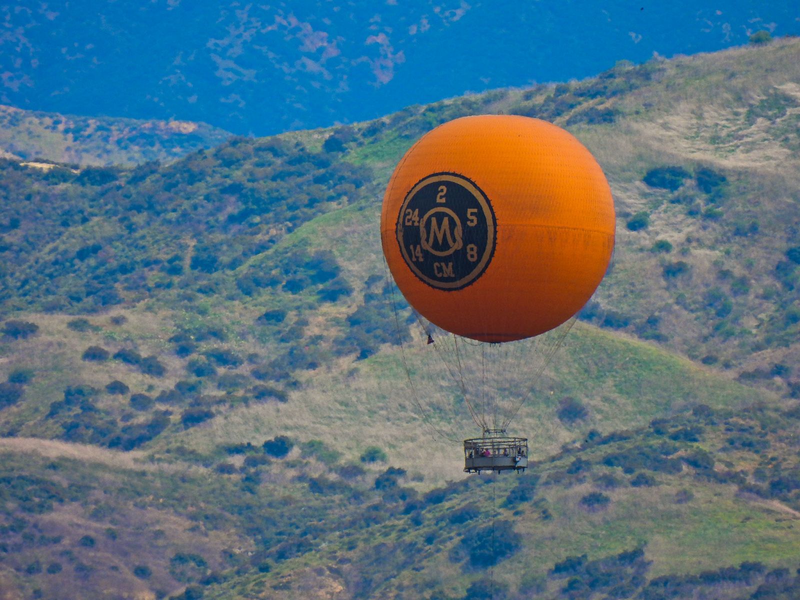 Nikon P950 Review | This Compact Camera Zooms to 2000mm!