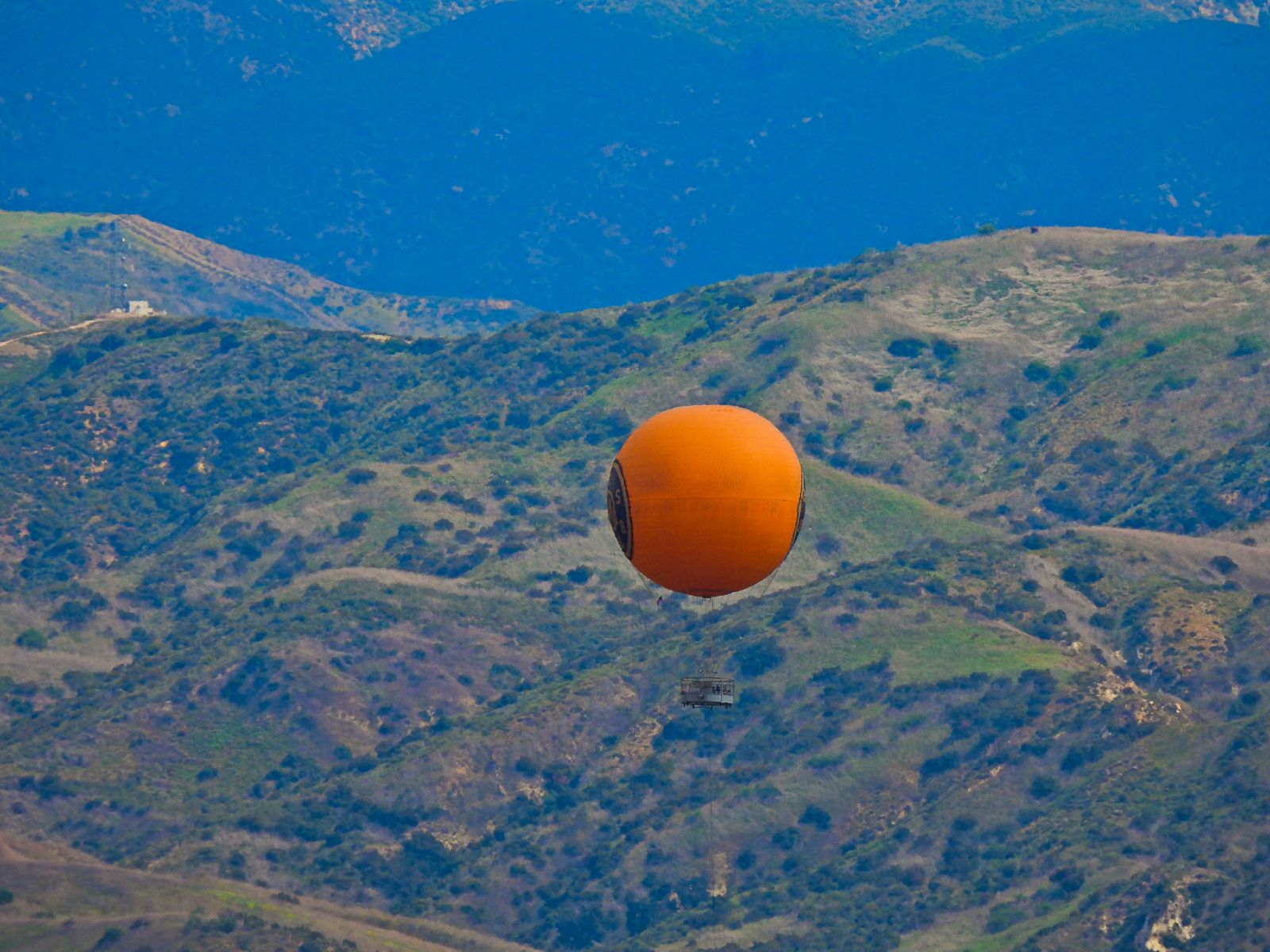 Nikon P950 Review | This Compact Camera Zooms to 2000mm!