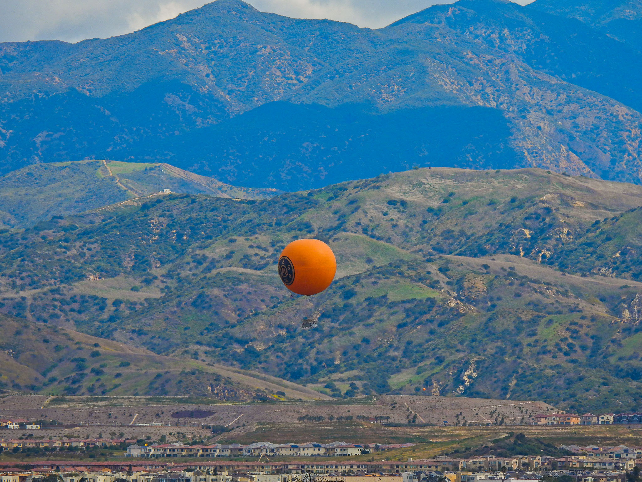 Nikon P950 Review | This Compact Camera Zooms to 2000mm!