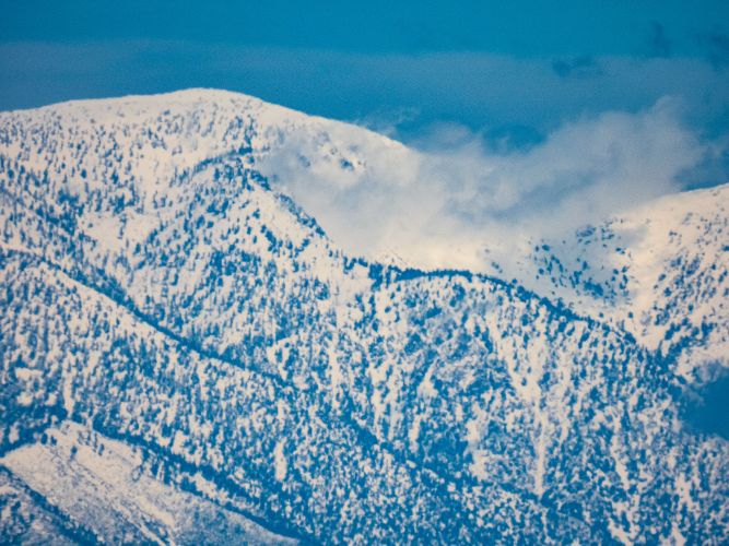 Nikon P950 Review | This Compact Camera Zooms to 2000mm!