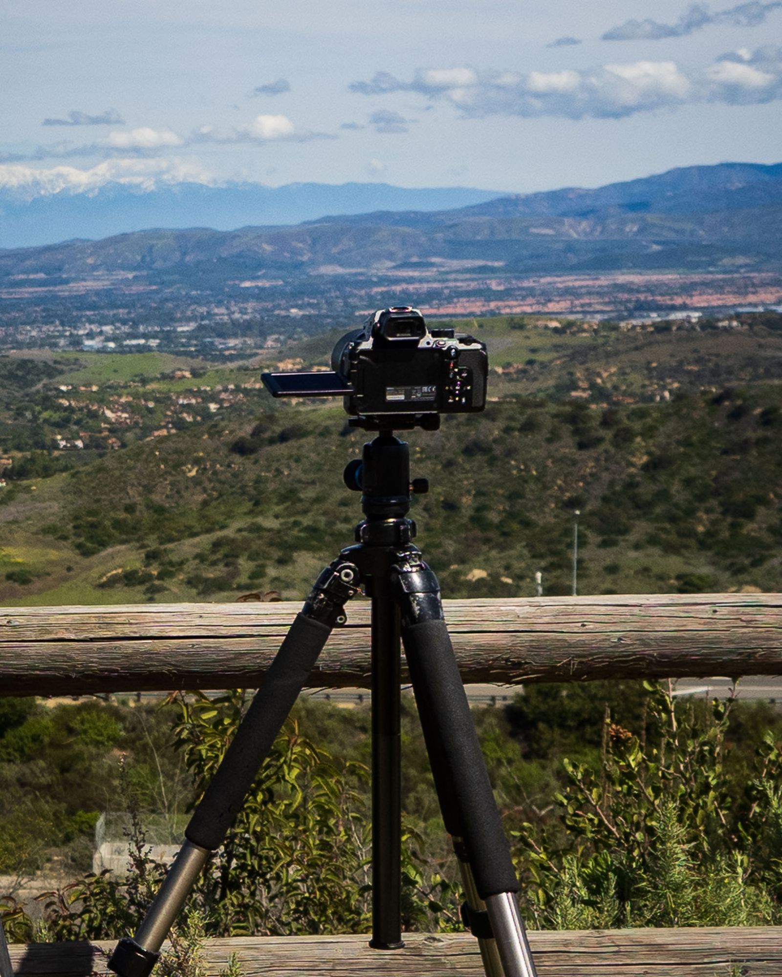 Nikon P950 Review | This Compact Camera Zooms to 2000mm!