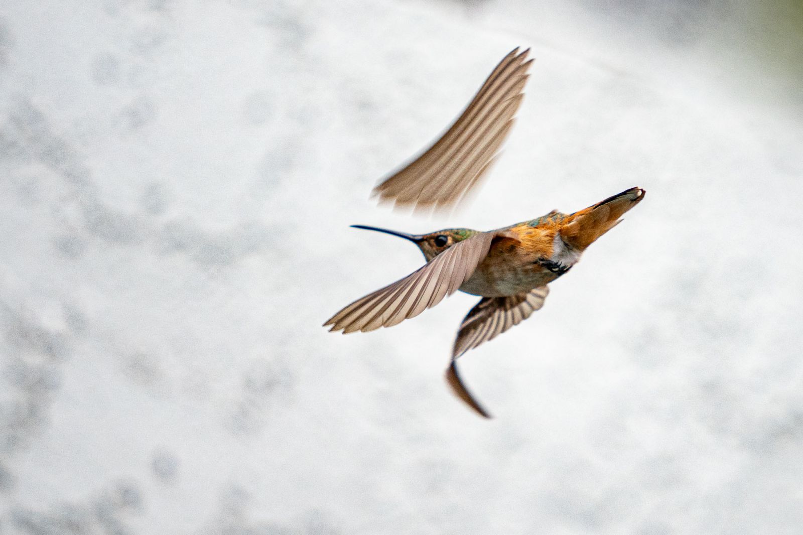 Best Camera For Sports Photography | DSLR & Mirrorless