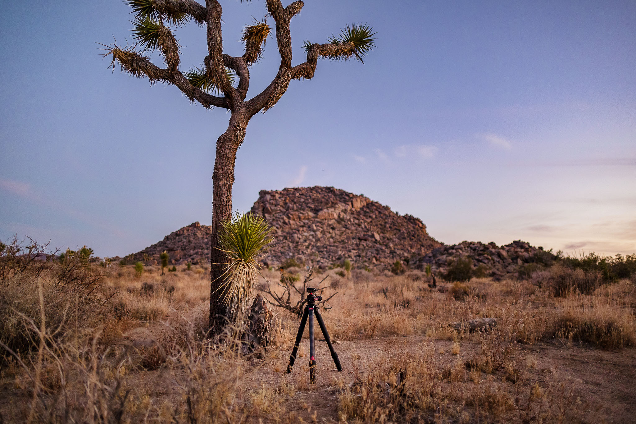 Best Tripod For Landscape Photography