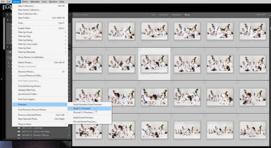 Culling Definition - What is Culling by SLR Lounge