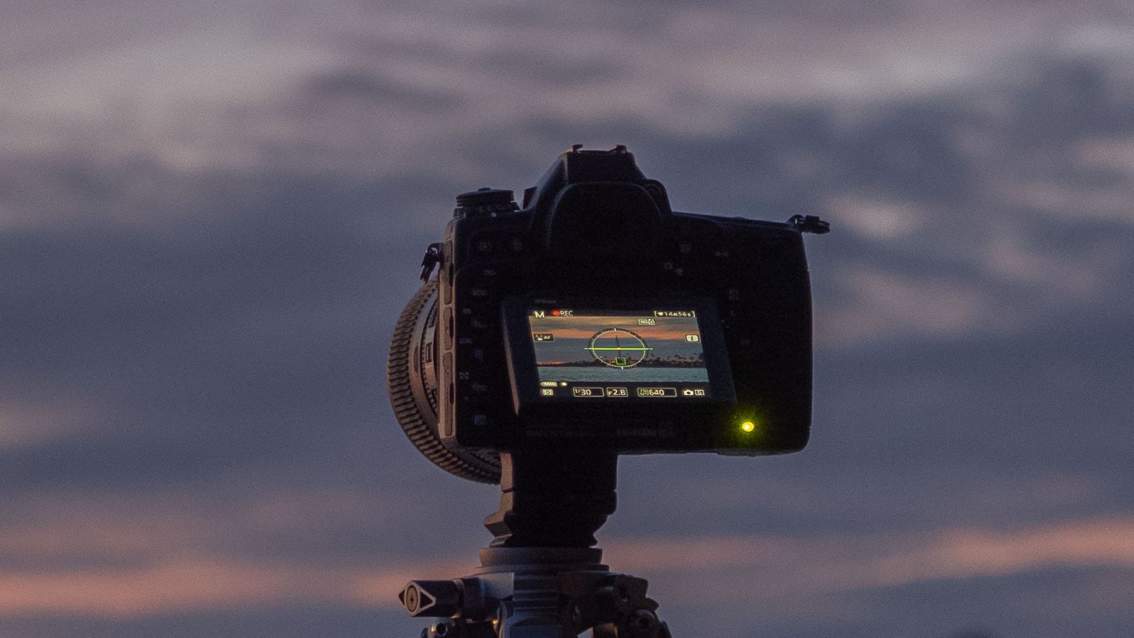 Nikon D780 Review - The Best DSLR, In A Mirrorless World