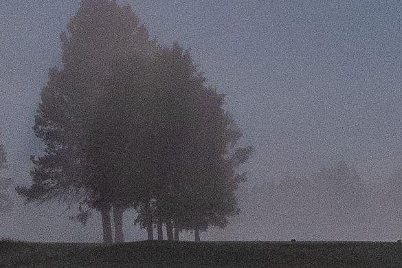 Noise Reduction Definition - What is Noise Reduction by SLR Lounge