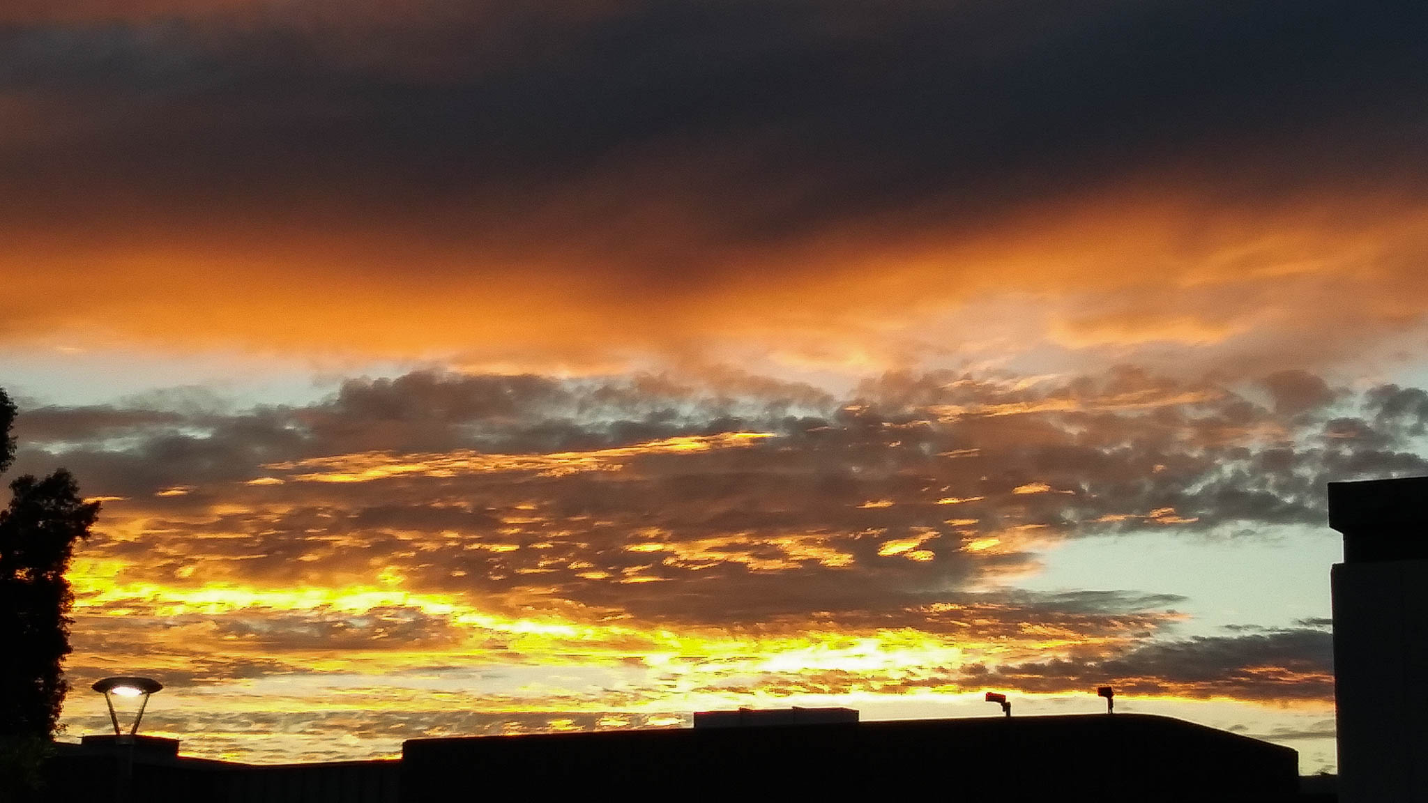 Optical Zoom VS Digital Zoom - What's The Difference?